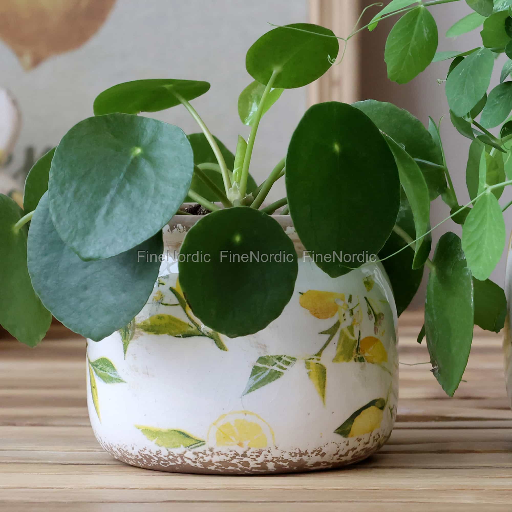 Chic Antique Limone Planter with Lemon Motif Cream H 9.5 cm