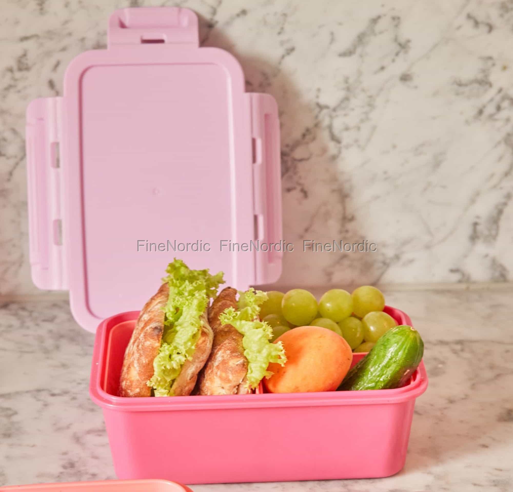 Rice Lunch Box - 3 Inserts - "Flower Power" Colors